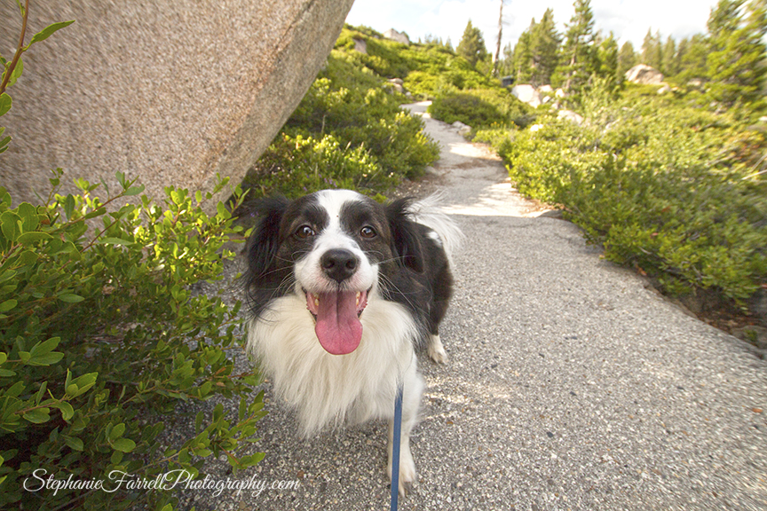 Finding new spots…Blue Lakes - Welcome to Stephanie Farrell Focus